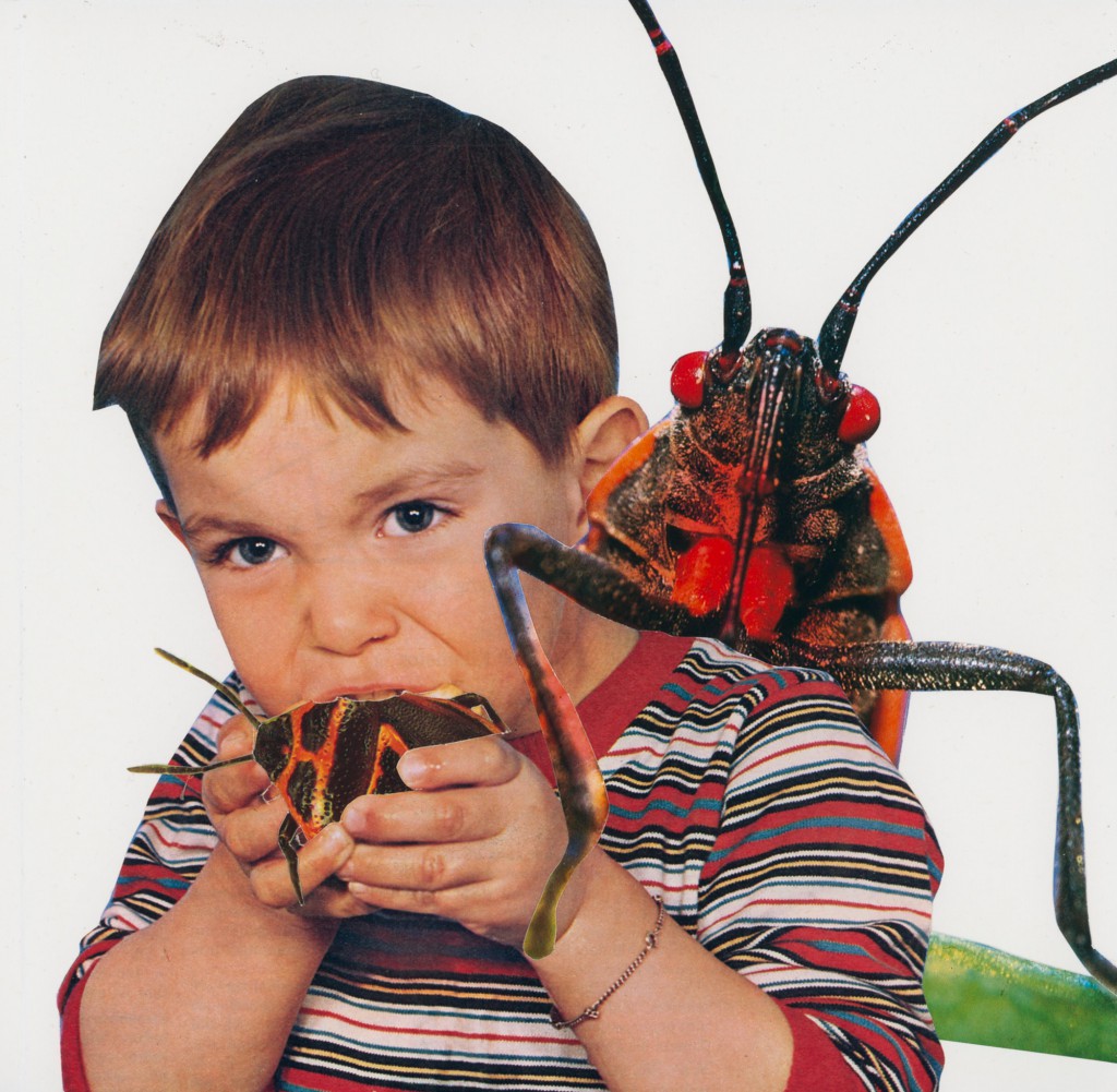 Insect Boy
